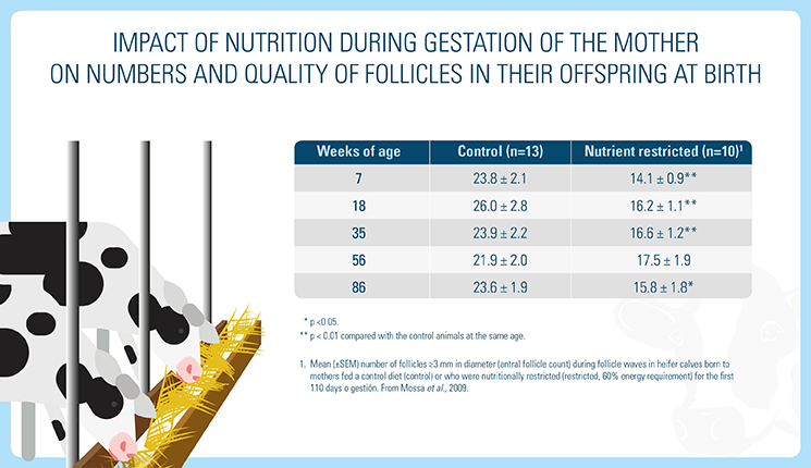 Merck | Heifer Reproduction Management