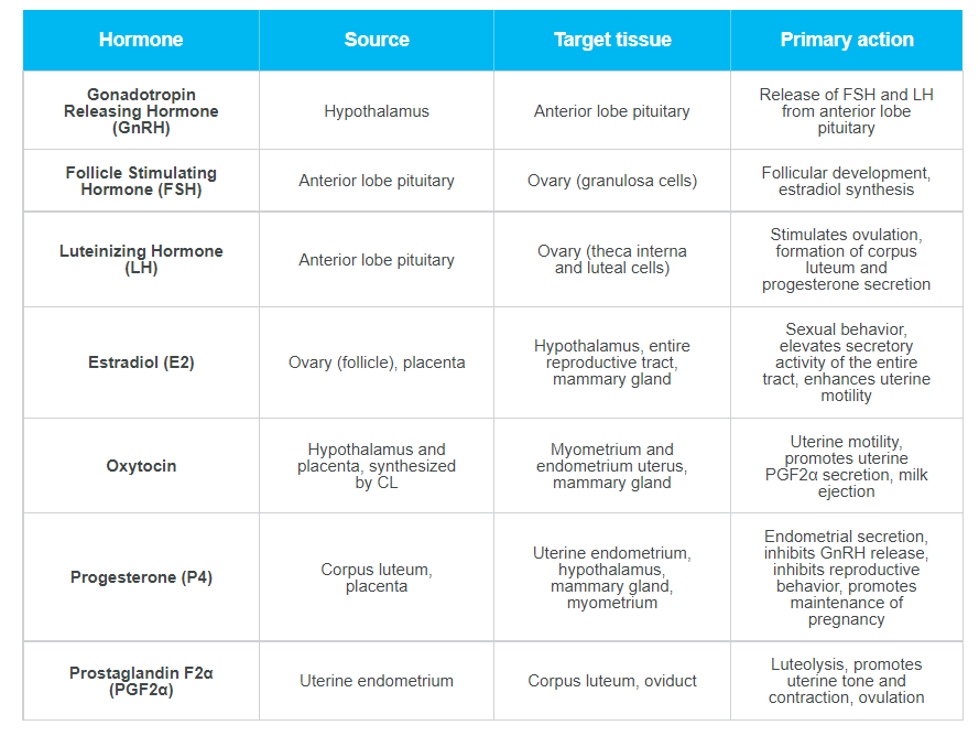 Cattle Reproductive Hormones