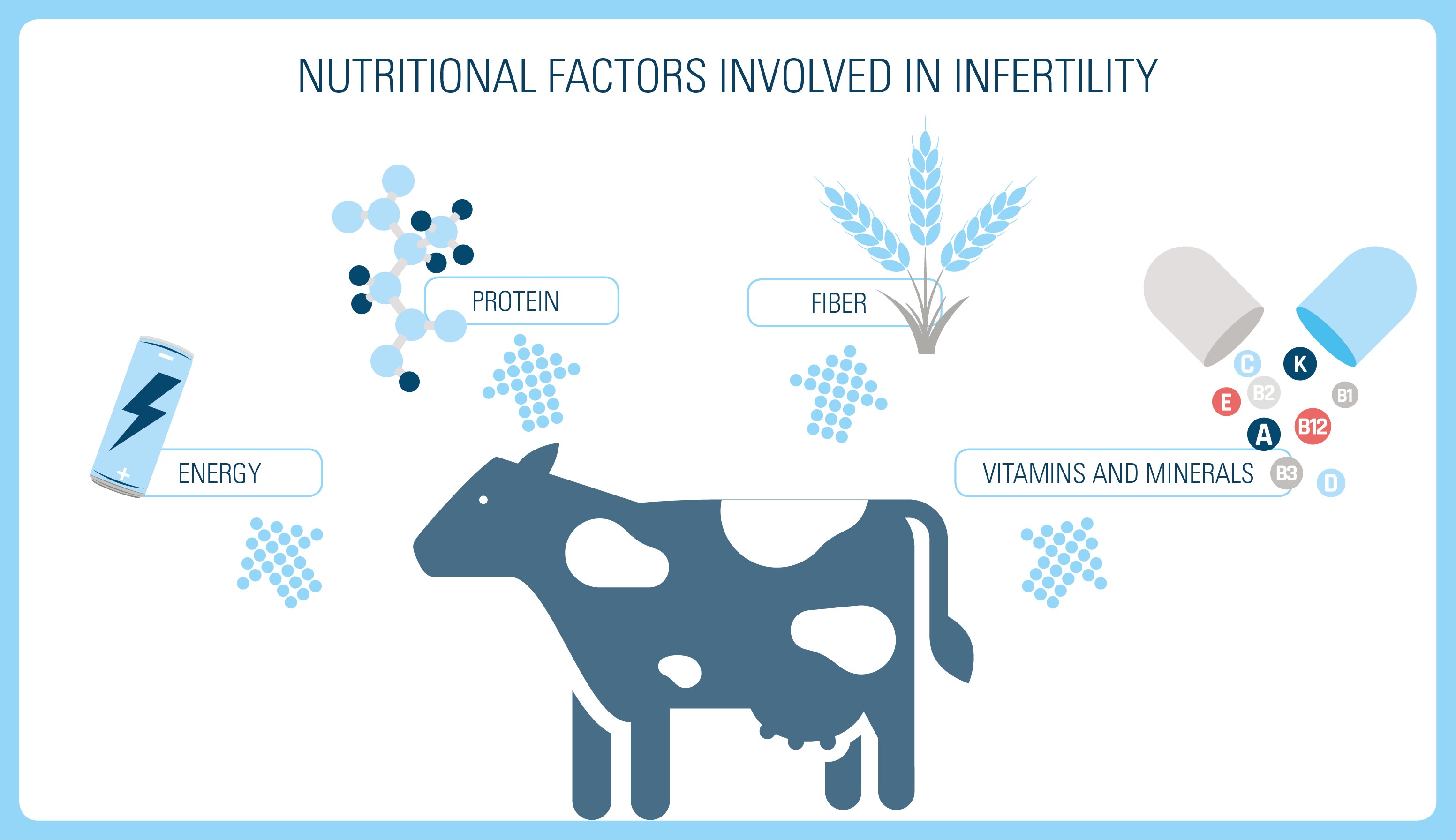 Dairy Cow Nutrition
